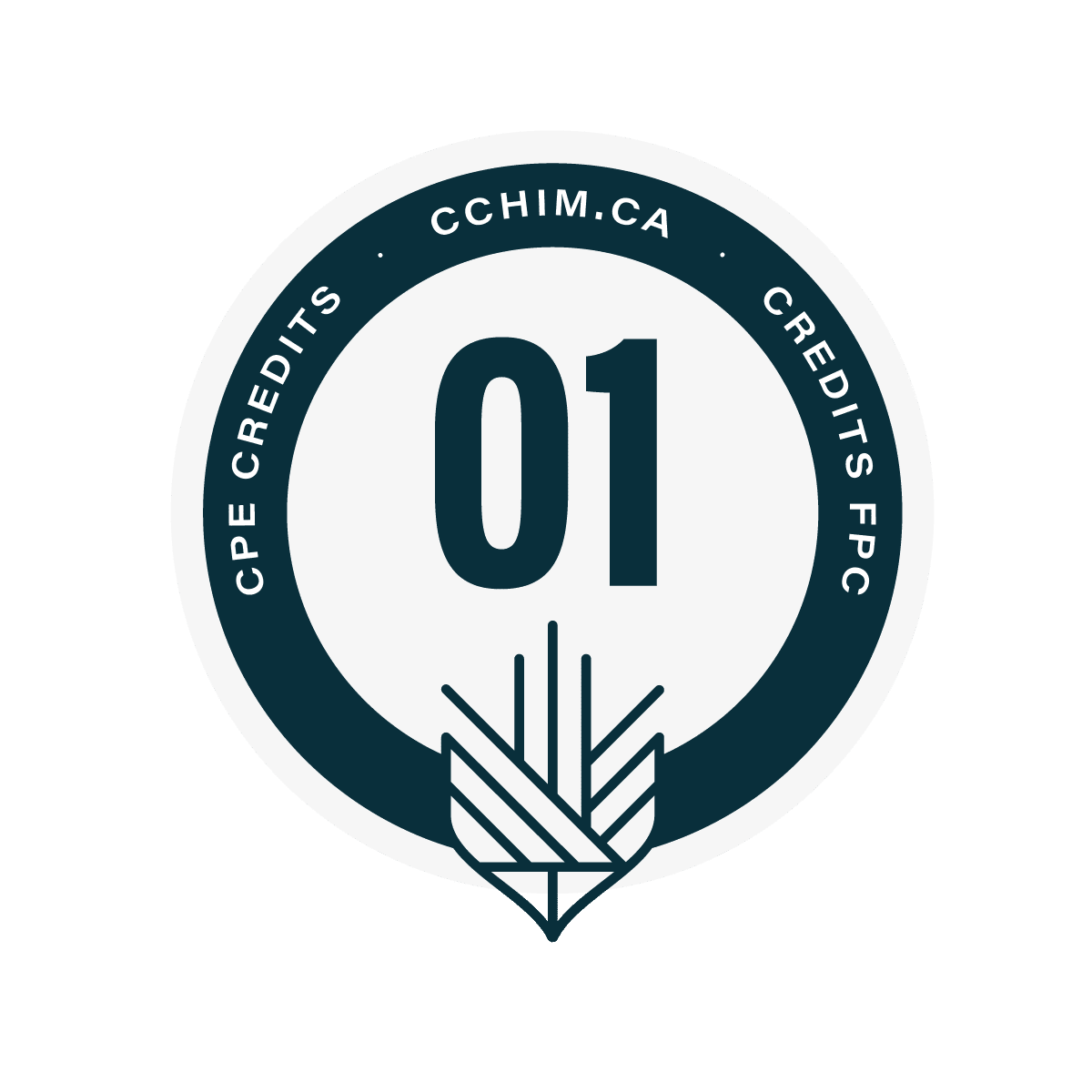 Information Management - Digital Health Canada